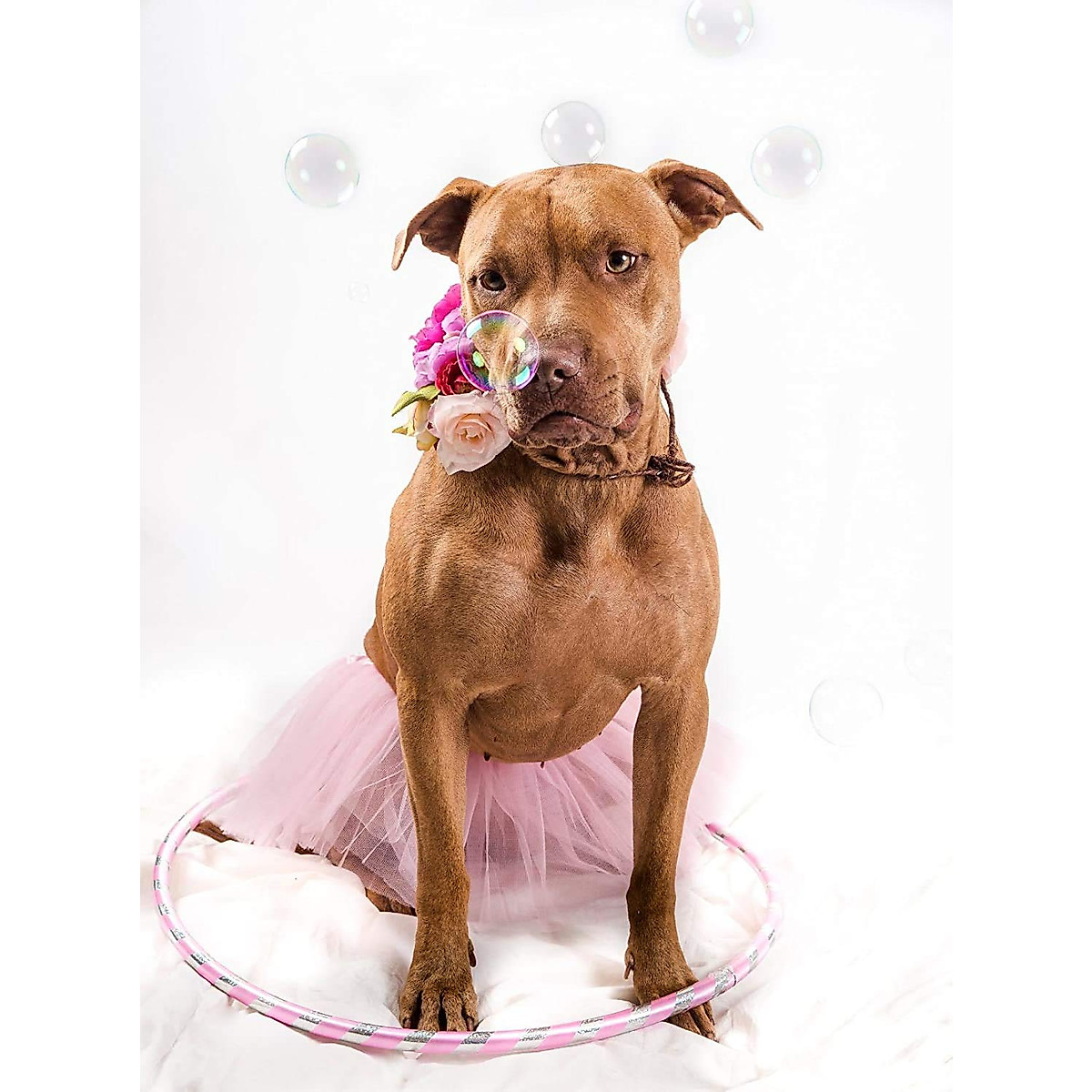 Dancina Mardi Gras Parade Infant Tutu for 6-24 months Green