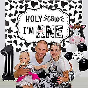 Holy Cow I'm One Birthday Decorations, Cow Farm Theme 1st Birthday Party Decorations for Boy, Black and White Cow Balloon Garland Arch Kit, Happy Birthday Backdrop, Cow Head Foil Balloons