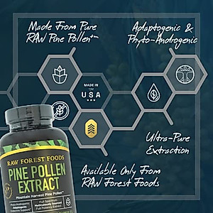 Pine Pollen Extract Capsules — Adaptogenic, Phytosterols, Endocrine Health Support — Highest Potency, Ultra-Pure Extract — Men & Women — No Fillers, Never Irradiated, Vegan, Non-GMO — 120 Count