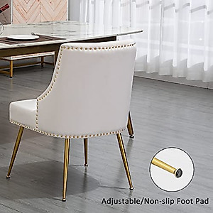 WQSLHX Modern Velvet Dining Chairs Set of 2, Upholstered Button-Tufted Armless Accent Chairs with Golden Legs for Kitchen & Dining Room Living Room, Beige