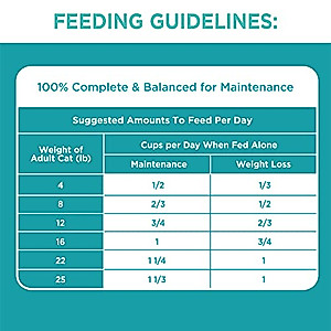 Iams Dry Food Proactive Health Indoor Weight and Hairball Care Dry Cat Food, 3.5 Pound