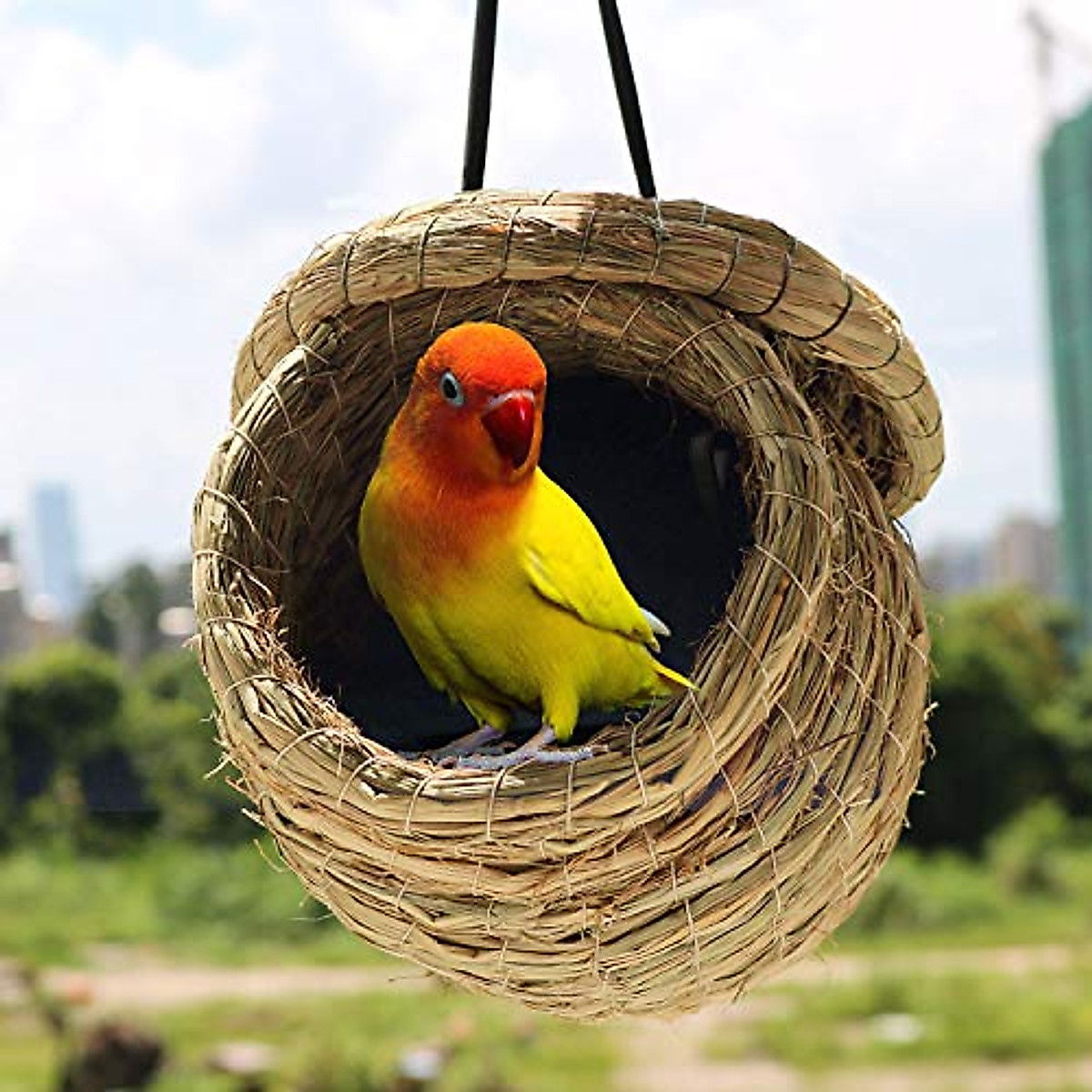 BWOGUE Straw Bird Nest Eco-Friendly Straw Birdhouse 100% Natural Fiber Bird Nest Hut Cozy Resting Breeding Place for Parrots Parakeet Conures Cockatiel,Large