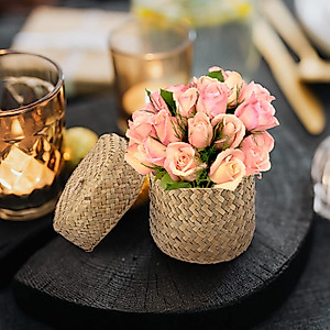 DOITOOL Hand Woven Seagrass Mini Round Basket with Lid, 12x9cm, Beige, Tabletop Decorative Storage Basket