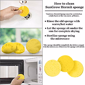 Hermit Crab Sponges for Water, 3 Pack Unbleached Hermit Crab Accessories & Supplies, Pet Crab Sponges Provide Nutrients and Maintain Tank Humidity, Water Dish Yellow Real Sea Sponges, 2" x 1"