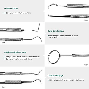 Dental Tools by Blizzard - Plaque Tartar Remover for Teeth - Professional Dental Hygiene Cleaning Kit 4-Pcs, German Stainless Steel Oral Care Set with Dental Pick, Mouth Mirror, Travel Case