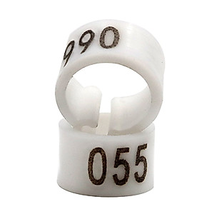iherdsman 001-100 Multi-color Bird Leg Bands Numbered 8 mm Pigeon Parrot Chicks Leg Band Duck Clip Rings Bands (White)