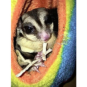 1 Sachet Sugar Glider, Hamster, Squirrel, Hedgehog, Chinchillas, Rabbit, Ferret, Small Exotic Pet Food Supplies Fish Snack 120 g. + 10% Bonus = 138 g.