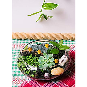 SPWOLFRT 26 Pcs Cute Mini Animal Figurines Miniature, Family Chicken Cock Ornament Micro Fairy Garden Décor for Moss Landscape DIY Terrarium Crafts Accessories Home Outdoor Indoor (Chicken Family)