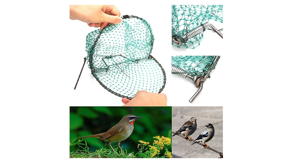 WBTY Catching Bird Net Bird Pigeon Humane Live Trap Mesh for Sparrows ...