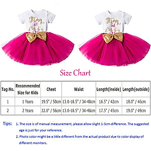 Girl Newborn It's My 1st/2nd Birthday Shinny Printed Tutu Princess Dress Outfit Set Rose (2 Years)