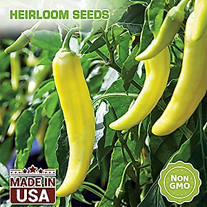 Most Popular Vegetable, Sweet and Hot Pepper Seeds for Gardening Outdoor, Indoor and Hydroponics - Total 20 Individual Bags with Heirloom, Non GMO and USA Grown Seeds