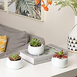 T4U Animal Succulent Pot 4 Inch Set of 6, Cat Shape Ceramic Planter with Drainage Hole, Cute Container for Small Cactus Bonsai Herb Plant, Indoor Home Office Garden Decoration Gift
