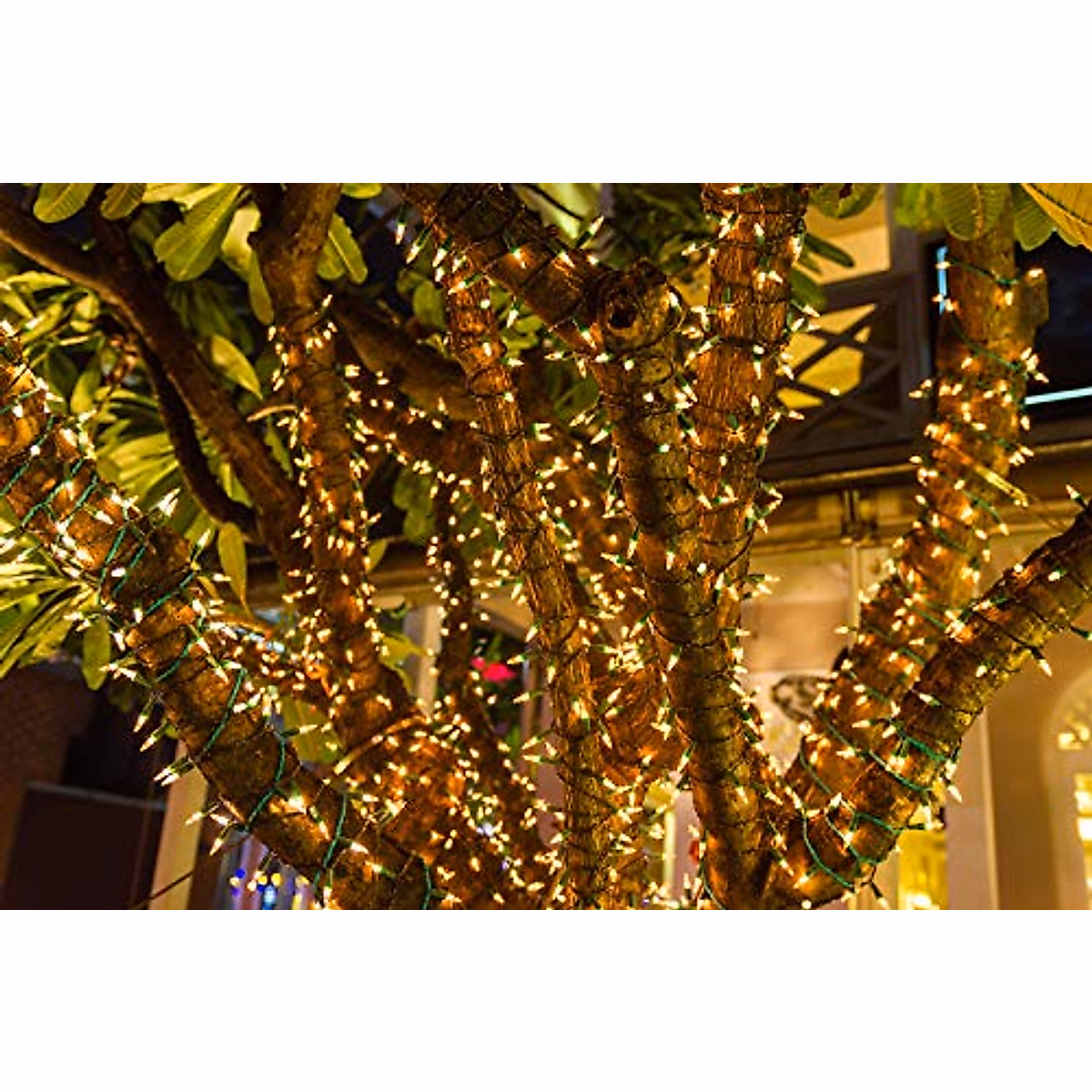 DecoBrite Incandescent 69ft (21m) 300 ct Christmas String Lights Clear with Green Wire, Indoor Outdoor Christmas Lights Decorations for Tree, Patio, Garden（300 Clear Bulbs with Green Wire