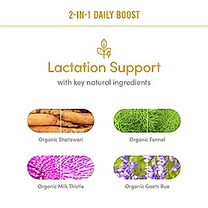 Munchkin® Milkmakers® Daily Boost 2-in-1 Lactation Supplements for Breastfeeding, Nursing & Pumping Moms - Fenugreek Free, 60 Capsules