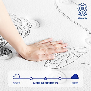 Olee Sleep,Memory Foam 12 inch Hybrid Euro Box Top Pocket Spring Mattress (King)