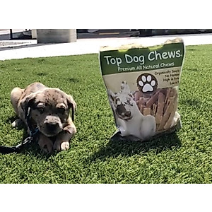Top Dog Chews - Flat Turkey Tendons for Dogs, 1LB / 16 OZ, Made in The USA, 100% Natural Chew Treats for Dental Care and Stress Relief, Puppy Training Treats for All Breeds