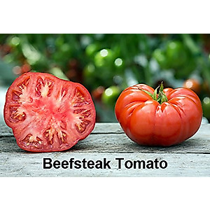 ***Mixed Seeds!!!*** This is A Mix!!! 30+ Giant Tomato Seeds, Mix of 22 Varieties, Heirloom Non-GMO, US Grown, Brandywine Black, Red, Yellow & Pink, Mr. Stripey, Old German, Black Krim, from USA