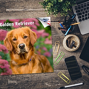 2023 2024 Golden Retriever Calendar - 16 Month FULL SIZE - 12 x 24 Open - Made in USA - Dog Breed Monthly Wall Calendar - Thick No-Bleed Paper - Giftable - Academic Teacher's Planner Calendar