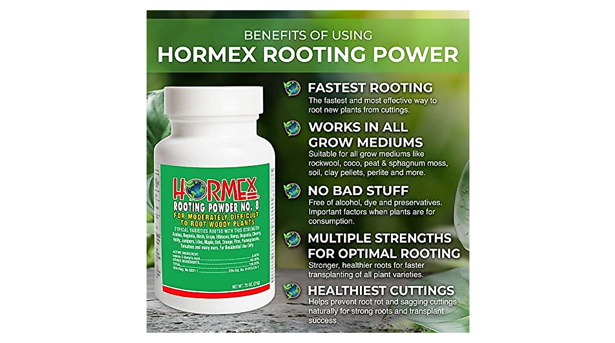 Hormex Rooting Powder #8 for Fast Plant Cloning