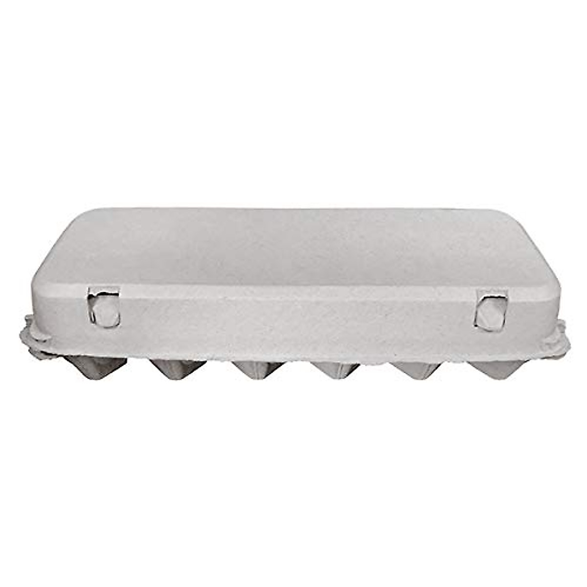 Blank 12-Egg Flat Top Paper Pulp Carton - Bulk Egg Cartons (50)