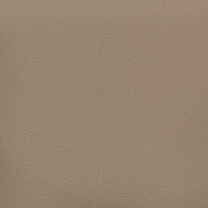 GOLINPEILO Modern Loveseat Sofa Couch 2-Seater Sofa, Small Upholstered Sofa for Bedroom, Apartment, Office,Small Spaces, Cappuccino 54.3"x30.3"x31.5" Faux Leather -AA