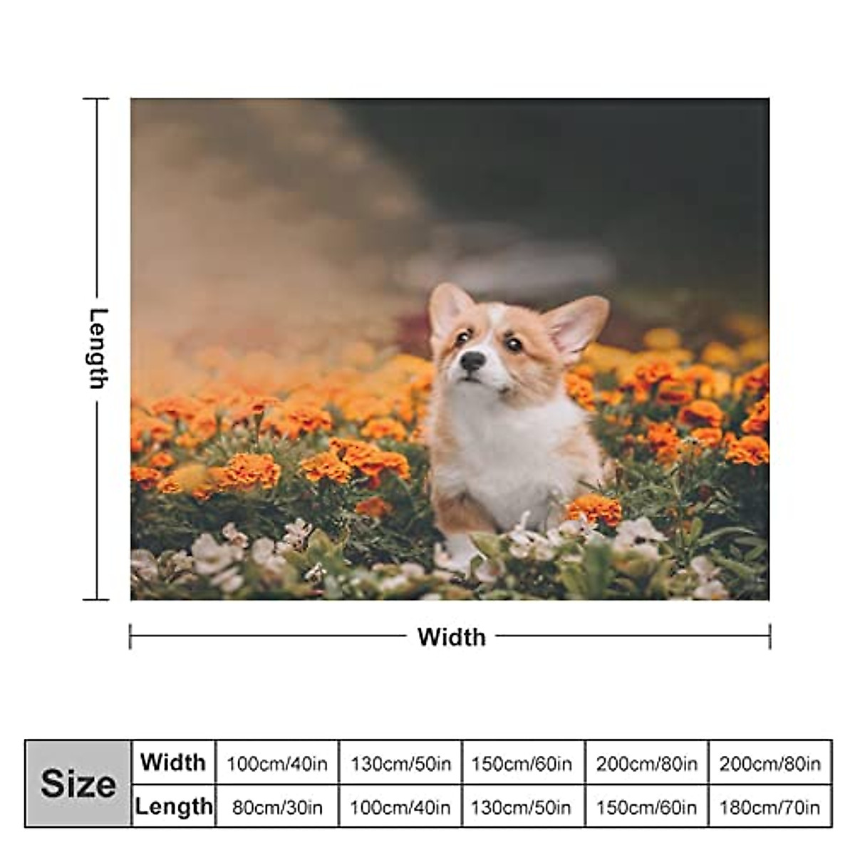 Corgi Pembroke Puppy Adventures Flannel Fleece Throw Blanket Soft Warm Lightweight Fuzzy Plush Blankets for Bed Couch Sofa 50"x60"