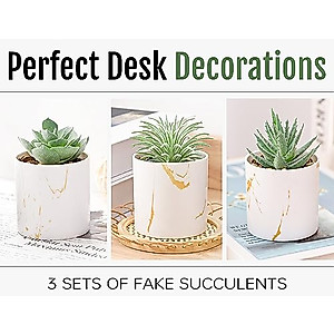 Der Rose 3 Packs Small Fake Plants Succulents Plants Artificial in Pots for Home Office Desk Decor for Women