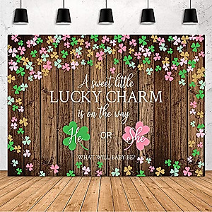 MEHOFOND Lucky Charm Gender Reveal Backdrop St. Patrick's Day Baby Shower Party Decor Banner Supplies Pink or Green Shamrock Clover Background Cake Table Studio Photo Prop Vinyl 7x5ft