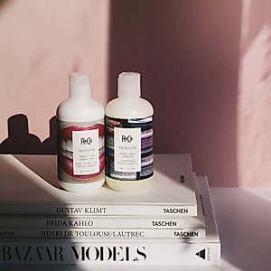 R+Co Television Perfect Hair Shampoo & Conditioner | Body + Shine + Smoothing for All Hair Types | Vegan + Cruelty-Free 8.5oz (pack of 2)