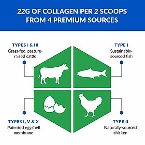 BioTrust Ageless Multi Collagen Peptides Powder – 5 Types (I, II, III, V, X) – Chocolate Collagen Powder for Women & Men – Hydrolyzed Protein – Grass Fed Beef, Fish, Chicken, Eggshell Membrane