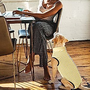 Dog Recovery Suit After Surgery, Pet Surgery Recovery Suit Surgical Snugly Onesie for Small Medium Dogs, Prevent Licking Dog Bodysuit Substitute E-Collar & Cone,Yellow S