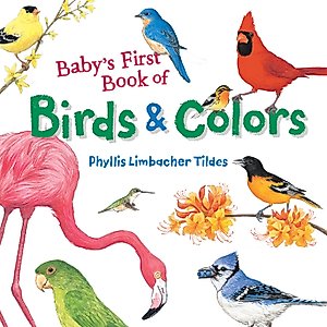 Baby's First Book of Birds & Colors