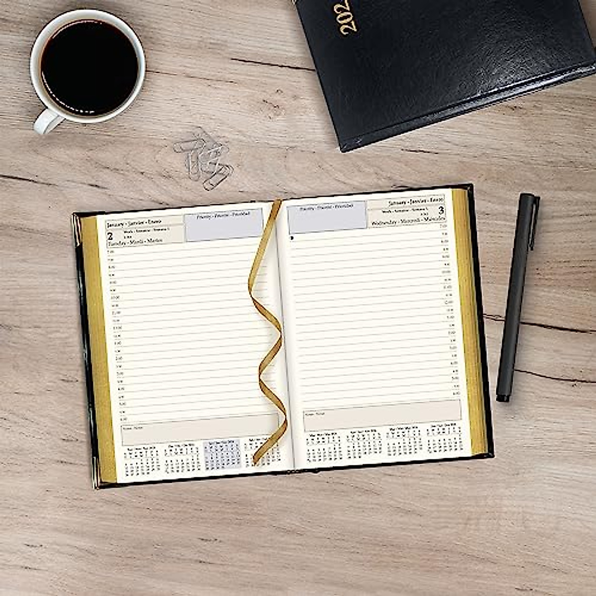 Brownline 2024 Executive Daily Planner, Appointment Book, 12 Months, January to December, Sewn Binding, 7.125" x 4.875", Trilingual, Assorted Colors (CBE504.ASX-24)