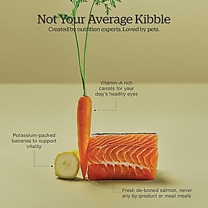 Now Fresh Good Gravy, Bone Broth Coated Kibble, Dry Dog Food, Salmon Adult Recipe with Grains, All Breed Size, 22 lb Bag