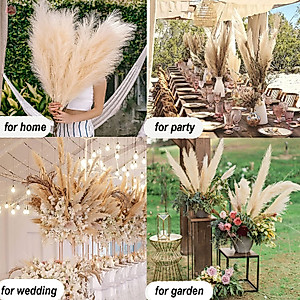 PEMUISE Pampas Grass Decor Tall 43'' 4pcs Pompous Grass Artificial Flowers Faux Pampas Grass Decor Plants Tall Bohemian Style Vase Filler Pampas Grass Branches for Home Office Decor (Beige)
