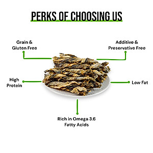 Happy Pet Happy Planet Dehydrated Walleye Fish Dog Treats Bundle - Grain-Free, High Protein, Human Grade, Natural, Supports Skin, Coat & Dental