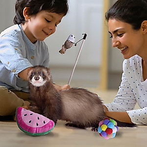 Ferret Toys 9 Pack & Ferret cage Accessories and Travel Pouch - Ferret Accessories, Ferret Tunnel, Ferret Ball - Ferret Bed, Ferret Stuff - Ferret Gifts for Ferret Lovers - Ferret chew Toys & Squeaky