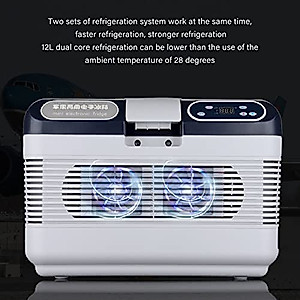 Biitfuu Car Refrigerator Overweight Oversize Large Fridge Truck Abs Freezer Cooler Aluminum Abs Outdoor Refrigerators (US Plug 110V)