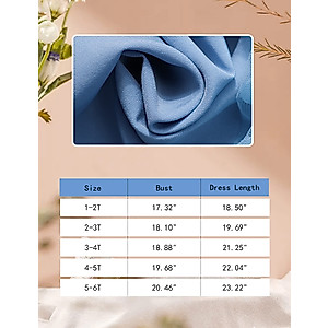 Toddler Girl Dress, Baby Girl Dresses 12-18 Months Blue Ruffle Sleeveless 2t Dresses for Girls Butterfly Tulle Dress for Toddler Girls