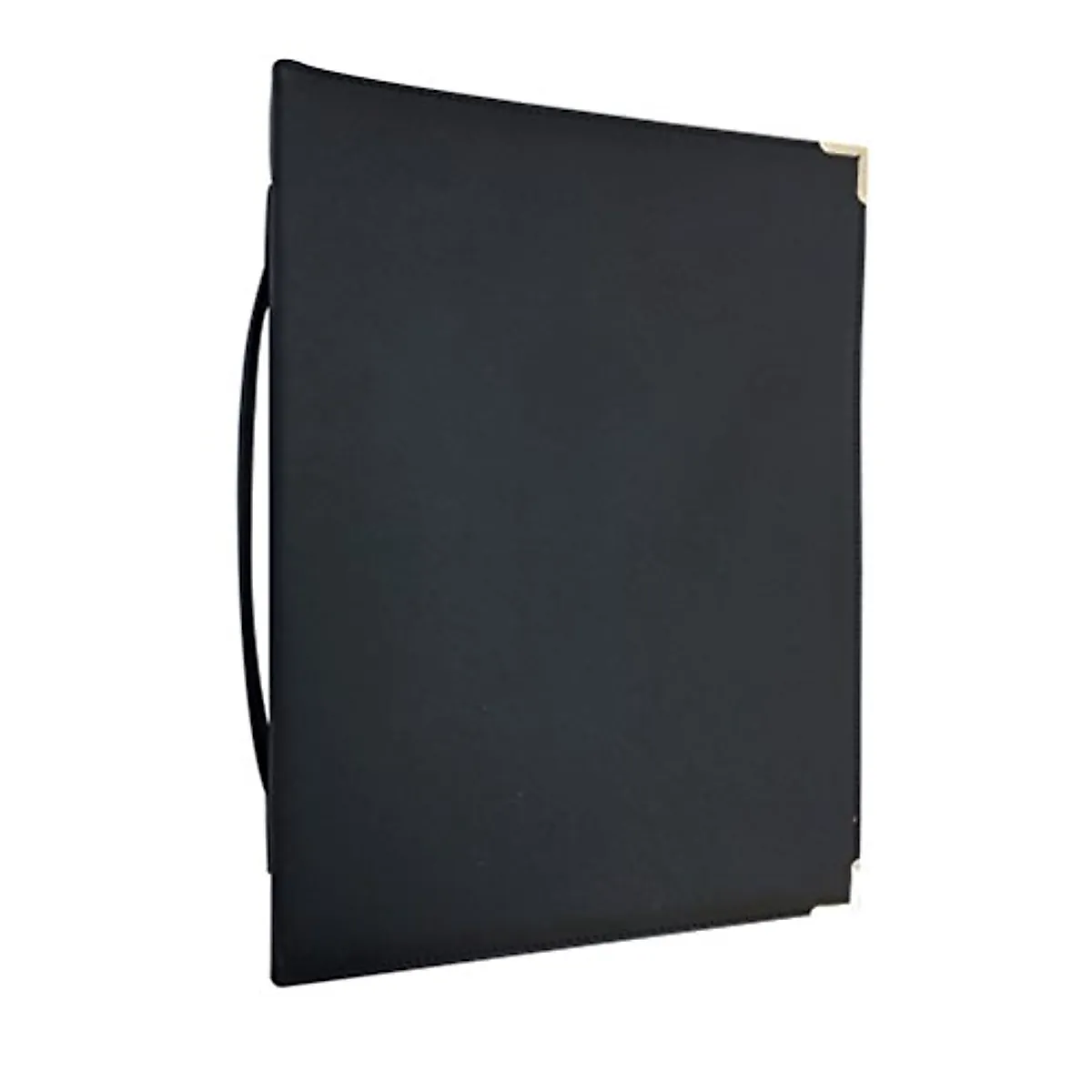 MSP Professional (9.5" x 12") Elastic Music/Choral Folder w/Handle & Detachable Strap + Bonus Set of Stray -MSP200 (Music Folder with 9 Elastic Cords)