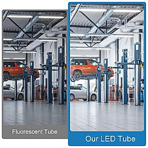 Ghiuop T8 LED Bulbs 4 Foot, 12 Pack 36W 4680LM 5000K Daylight White Type B 4FT LED Tube Lights, T8 T10 T12 Fluorescent Replacement Bulbs, Ballast Bypass, V-Shaped, Double Ended Power, Clear Cover