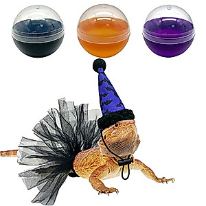 CooShou Halloween Lizard Bearded Dragon Costume Lizard Interactive Toys Bearded Dragon Bat Wizard Hat Black Skirt Small Pet Costume Outfits Clothes Photo Props for Lizards Geckos Hamsters