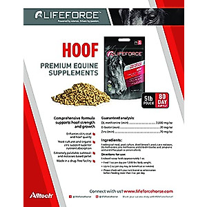Lifeforce Horse Supplements (Hoof)