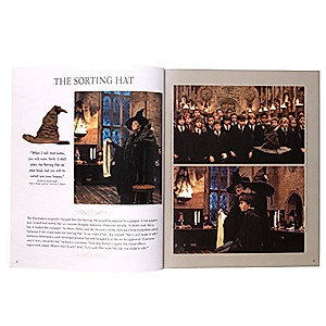 Incredibuilds Harry Potter Sorting Hat 3D Wood Puzzle & Model Figure Kit (64 Pcs) - Build & Paint Your Own 3-D Book Movie Toy - Holiday Educational Gift for Kids & Adults, No Glue Required, 10+ 