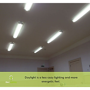 Sterl Lighting - Pack of 8 T5 Counter Lighting 11.33 inch Straight Fluorescent Tube Light Bulbs - 8 Watts - 110/130 Volts - G5 Base - 6500 Kelvin Supra Life Daylight - 400 Lumens