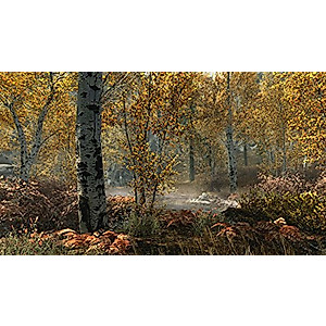 The Elder Scrolls V: Skyrim Special Edition - Xbox One (Imported Version)