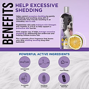 Shed-X Shed Control Shampoo for Dogs, 16 oz – Reduce Shedding – Shampoo Infuses Skin and Coat with Vitamins and Antioxidants to Clean, Release Excess Hair, and Exfoliate
