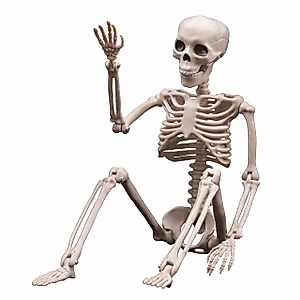 Halloween Skeletons Decorations, 16" Posable Plastic Skeleton 5 Packs, Full Body Skeleton Bulk with Movable Joints, Realistic Spooky Scary Skeletons for Outdoor Indoor Halloween Party Haunted House