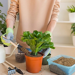 Sukh 14.6OZ Vermiculite - Organic Vermiculite for Plants Fine Horticultural Vermiculite Soil Amendments Vermiculite Bulk Soil Additive Perfect for Potted Plants and Garden Professional Grade 1-3mm