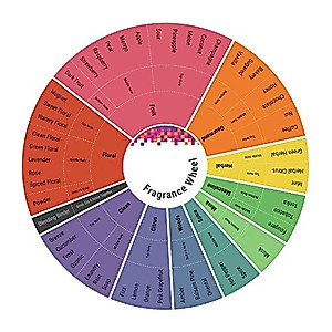 Alexandre J Zafeer Oud Vanille Eau de Parfum Spray 3.4 fl oz / 100ml